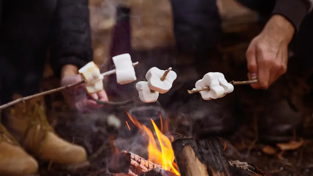 13 Ide Menu Bakaran Malam Tahun Baru, Simpel dan Anti Mainstream! - Bromen